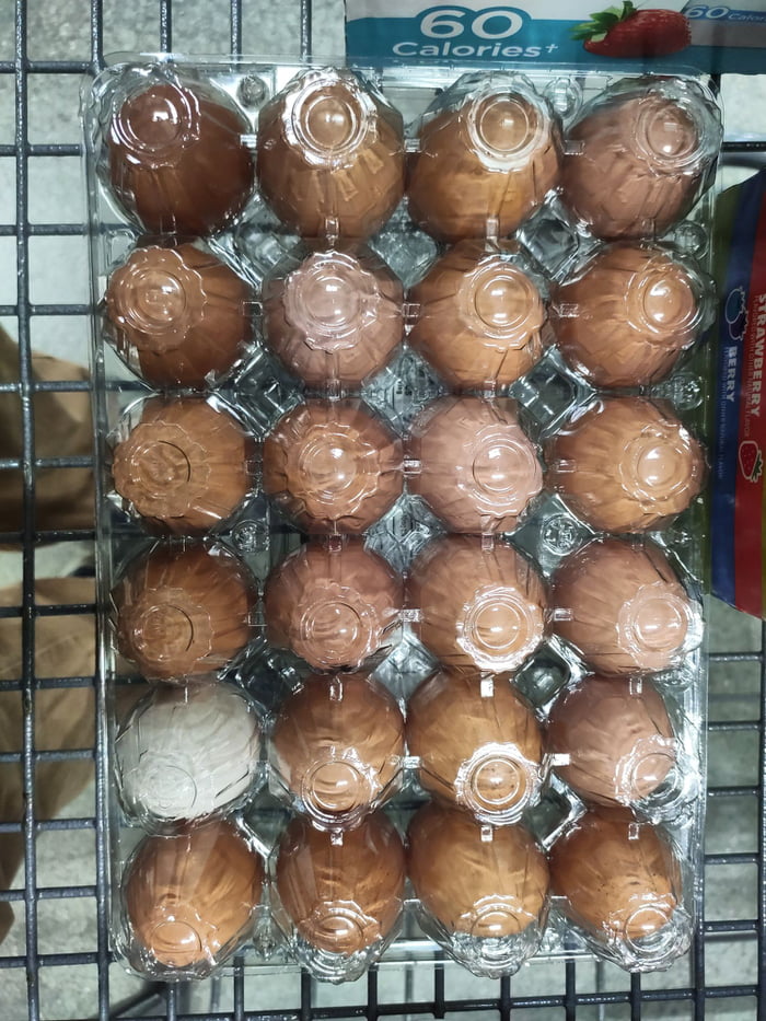 Can she handle it - 9GAG