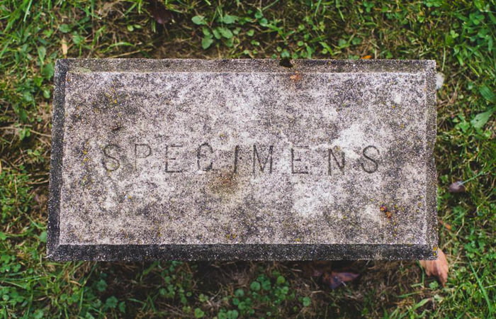 This headstone resides in Columbus at the State of Ohio Asylum for the ...