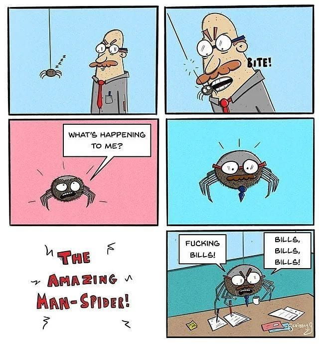 Poor spider! - 9GAG