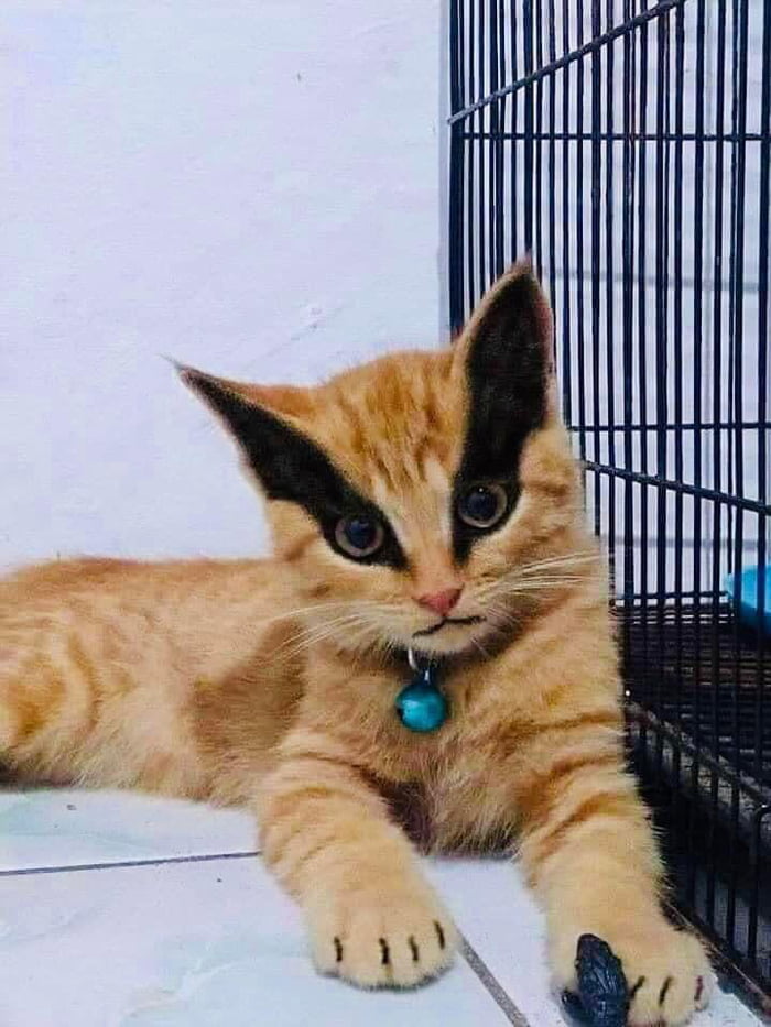 Booking face or Facebook - 9GAG