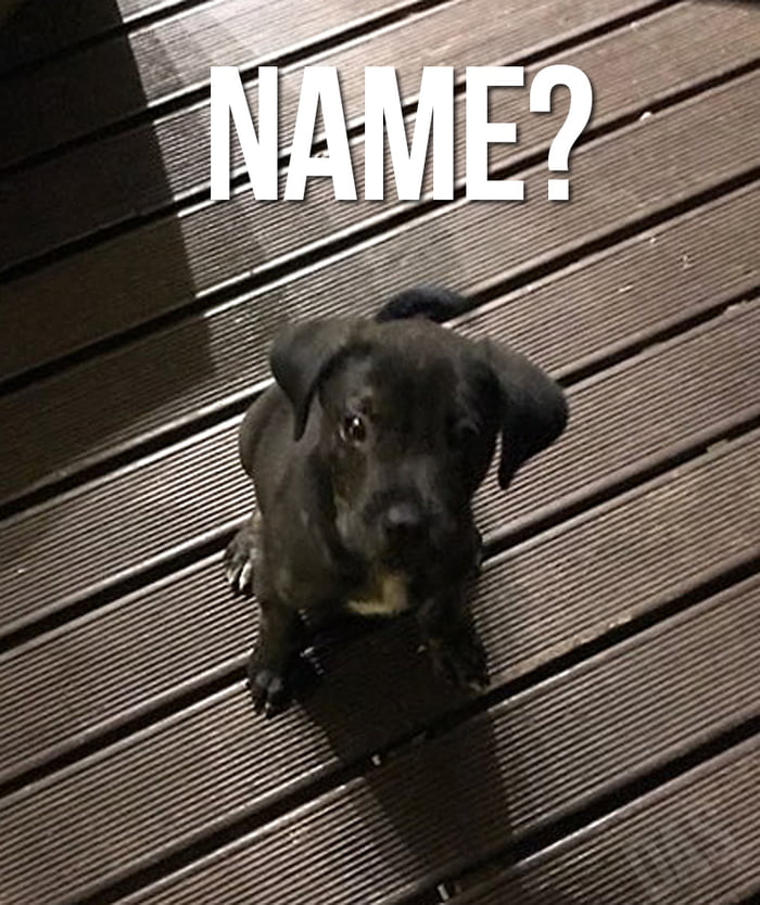 Please give me a name :) - 9GAG