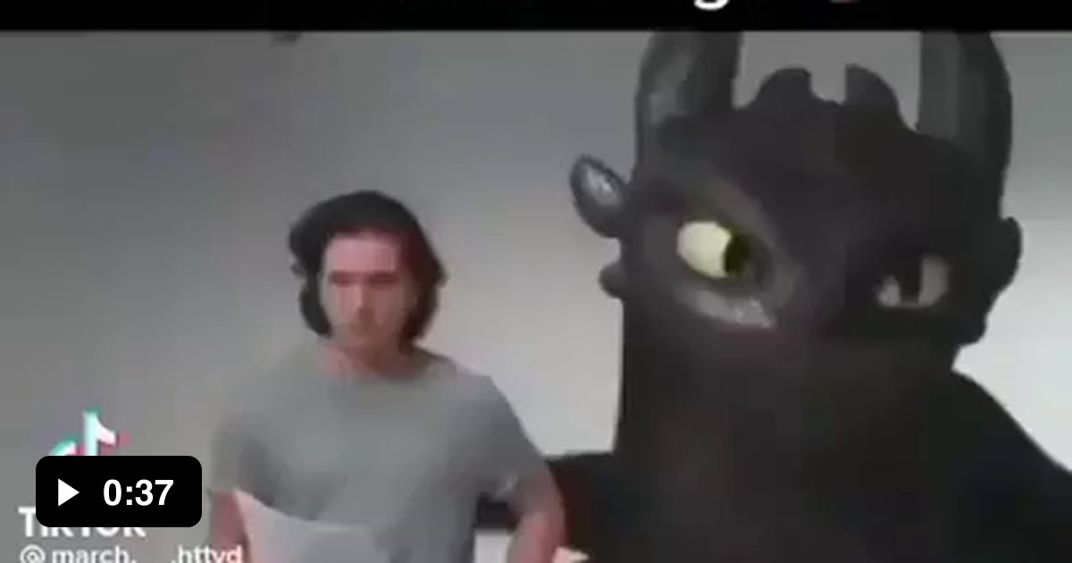 Snow and Toothless - 9GAG