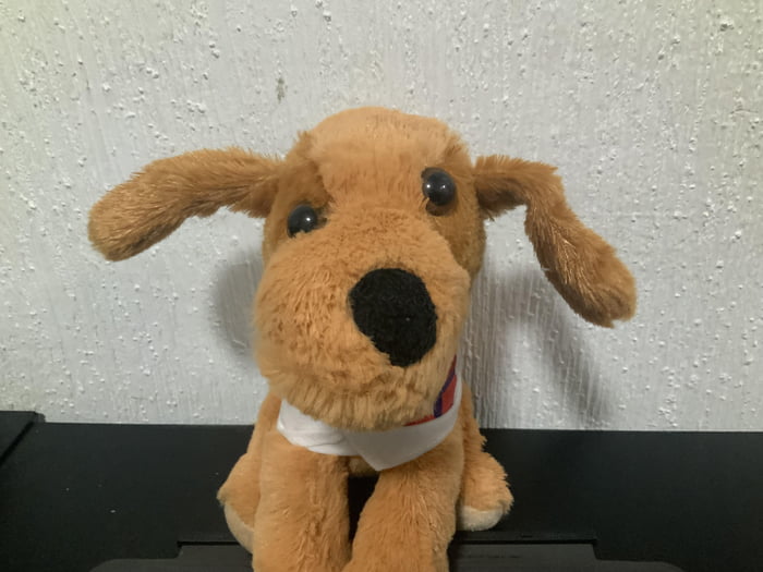 Adjusted the dog face, boss - 9GAG