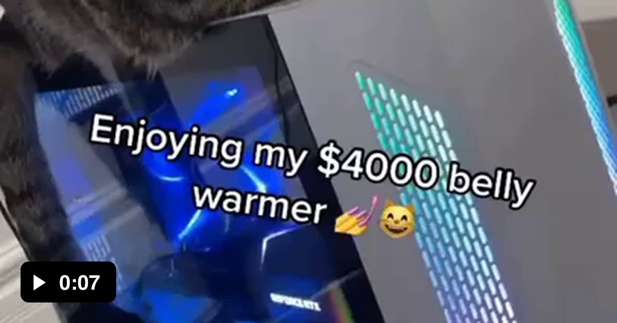 Kitty on her favourite place - 9GAG