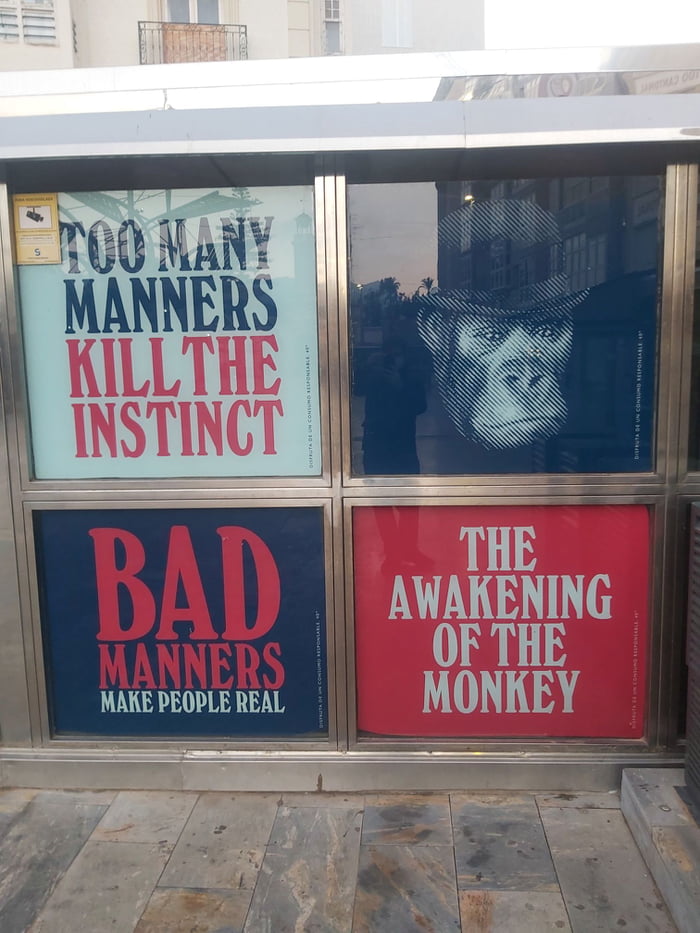 Back to monkey - 9GAG