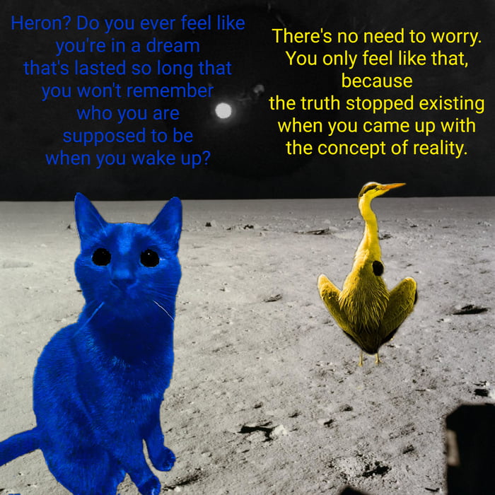 Are you awake? - 9GAG