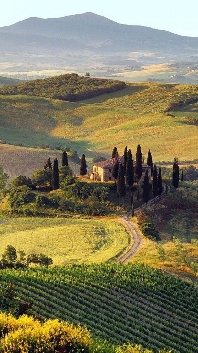 Colline Toscane - 9GAG