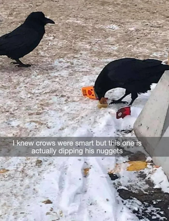 Soooo what year are we? - 9GAG