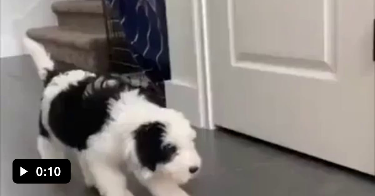 Cuddle Cuddle 9gag