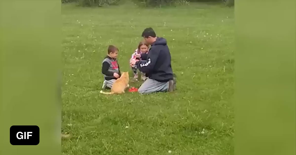 Really close call.. - 9GAG