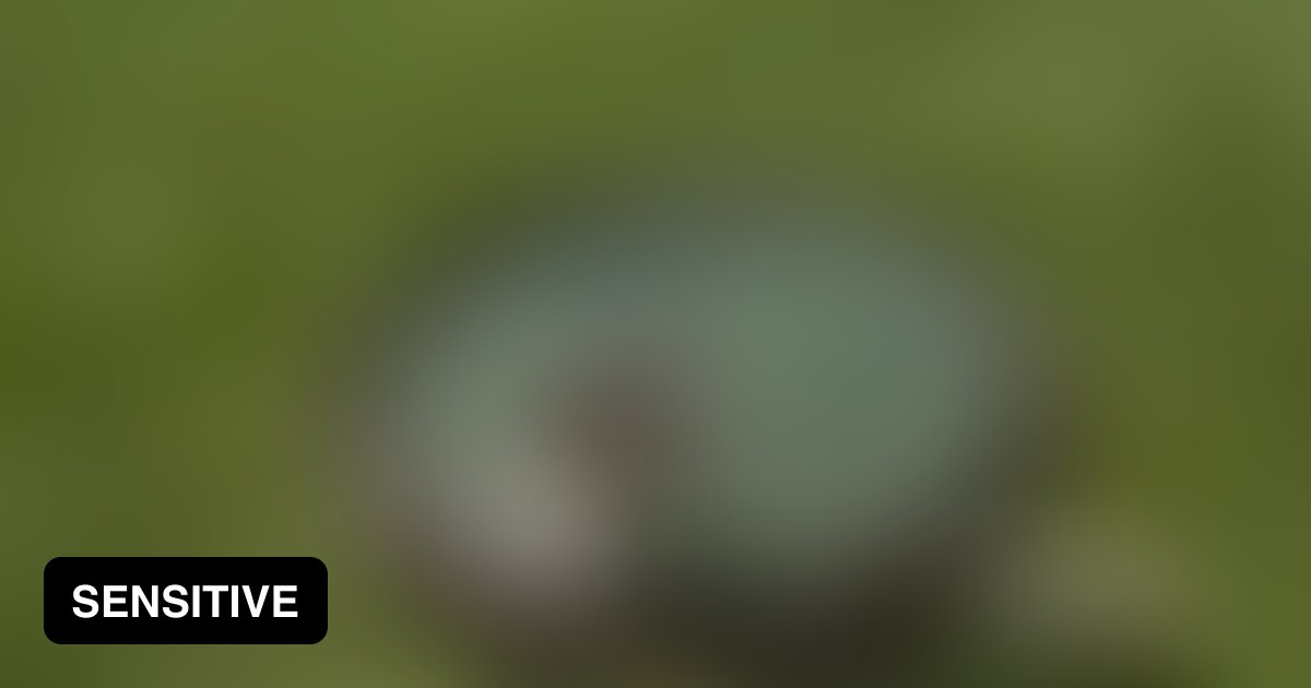 Completely Normal Phenomenon - 9GAG