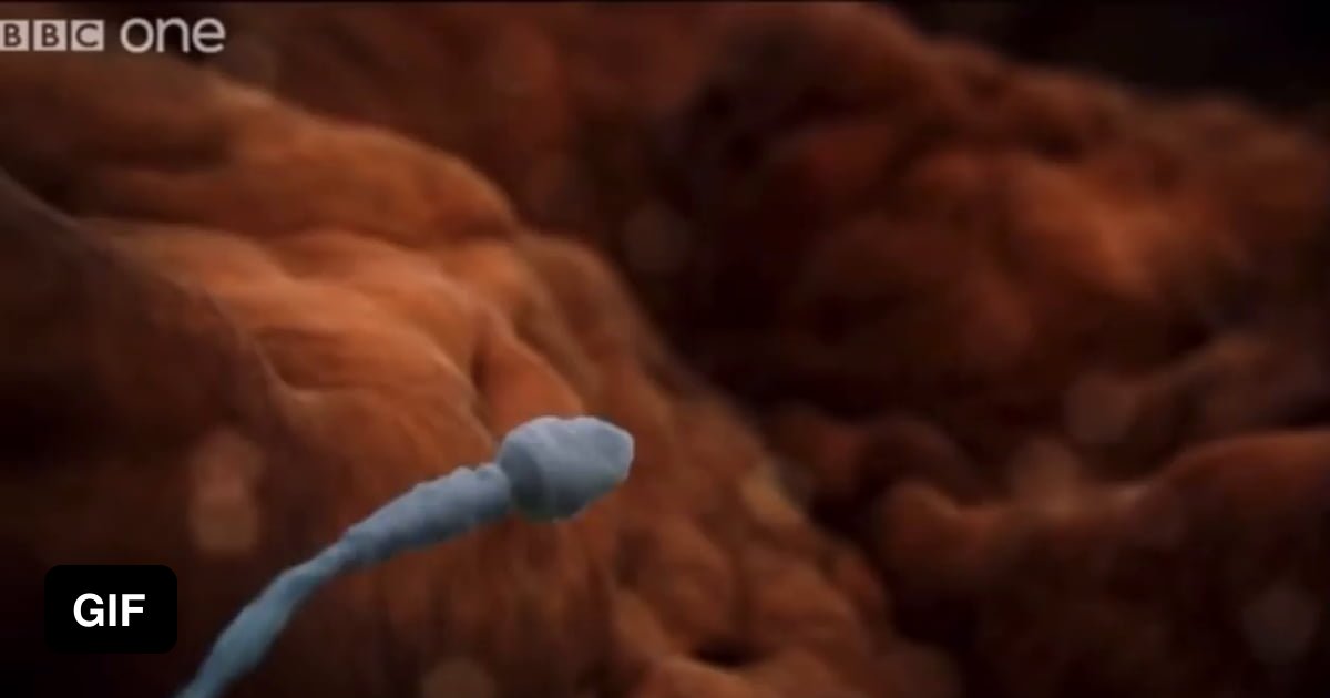 Sperms attacked by woman's immune system - 9GAG