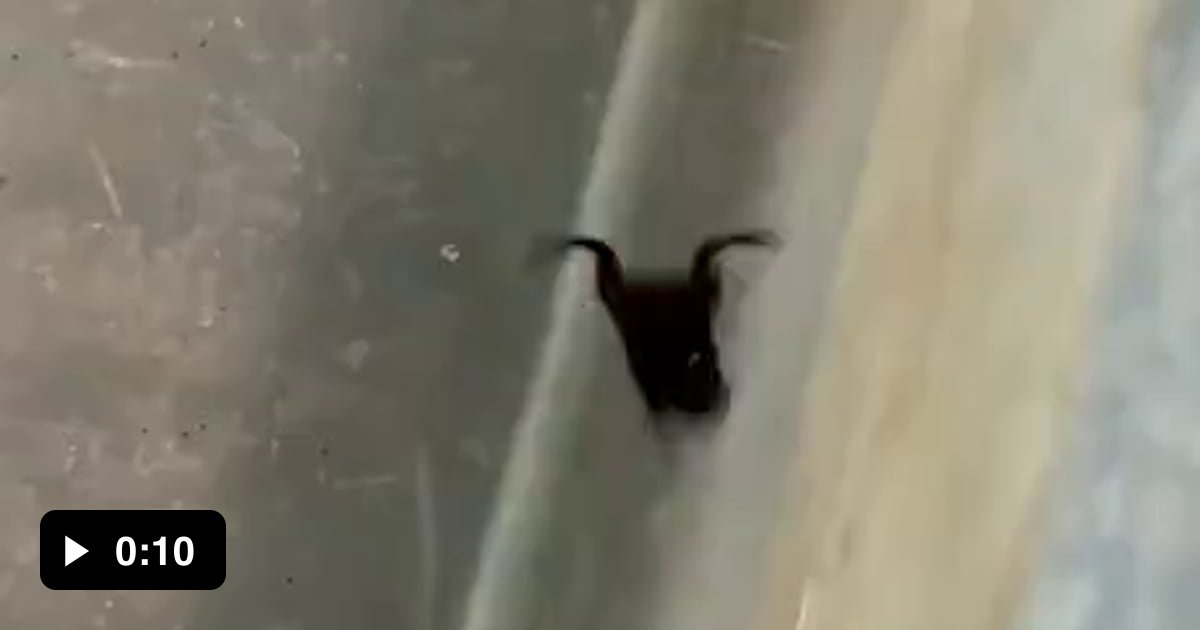 Imma go to sleep now, have a good night my fellow 9gagers - 9GAG