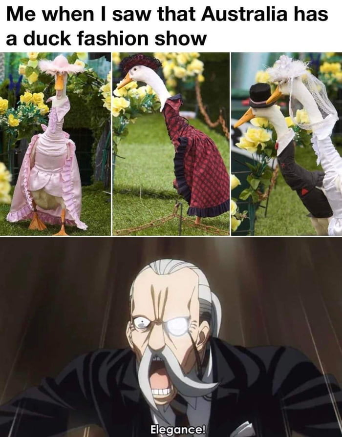 The duck swagger. - 9GAG