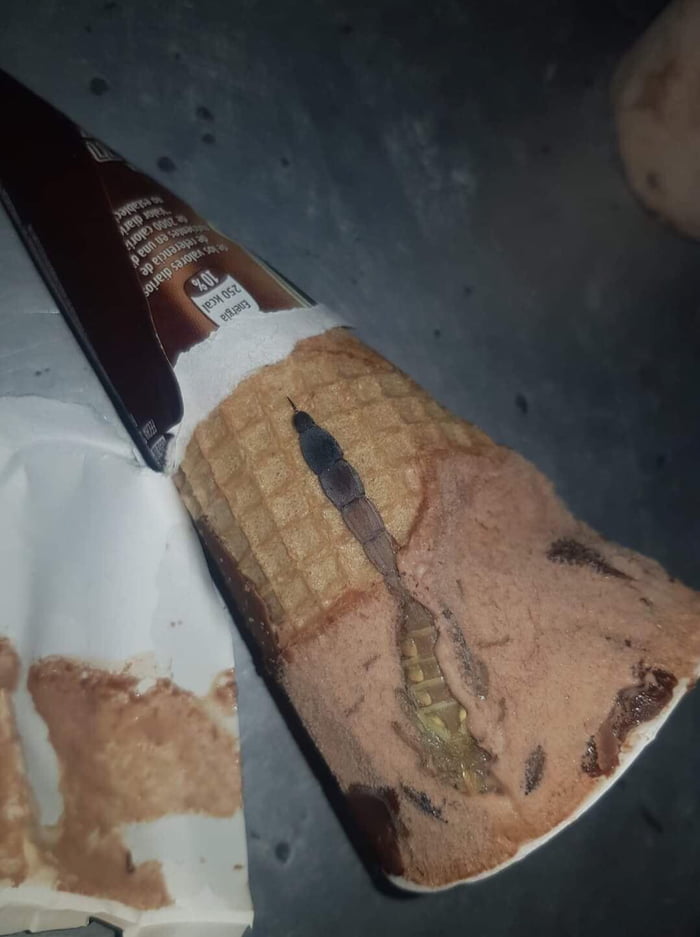 This scorpion tail that was found in this person’s ice cream… - 9GAG