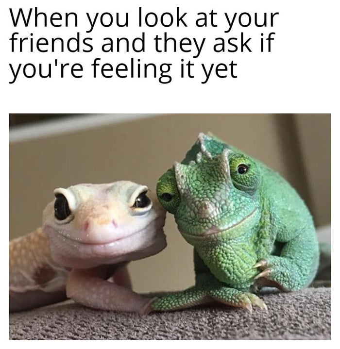 Please stop talking - 9GAG