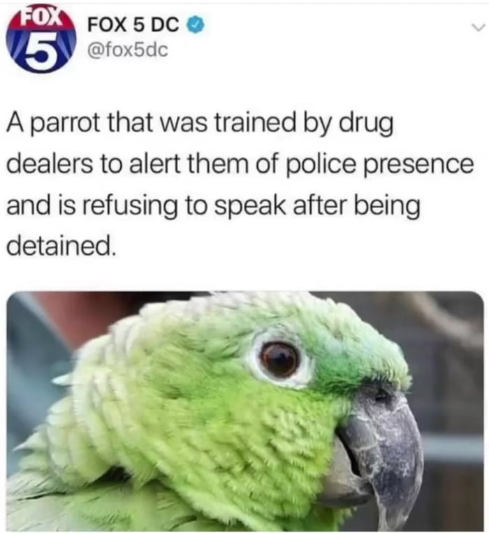 Extraordinary - 9GAG