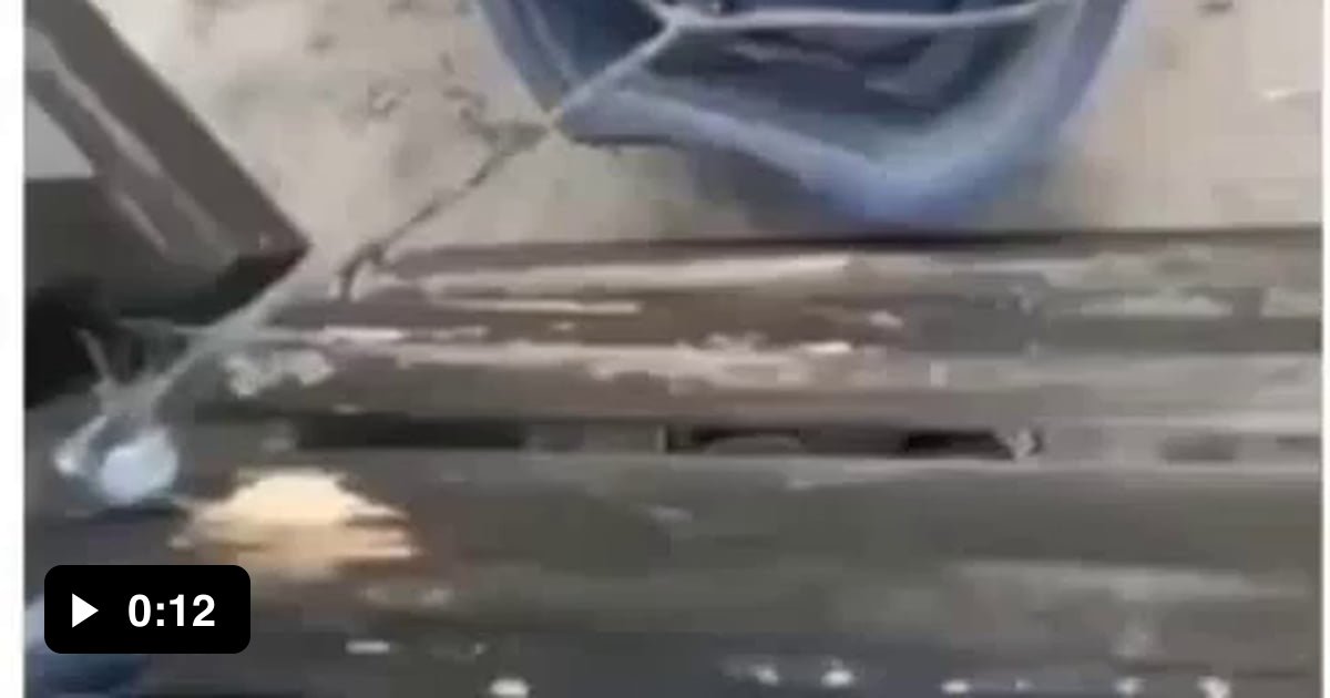 Get off me it's feeding time - 9GAG
