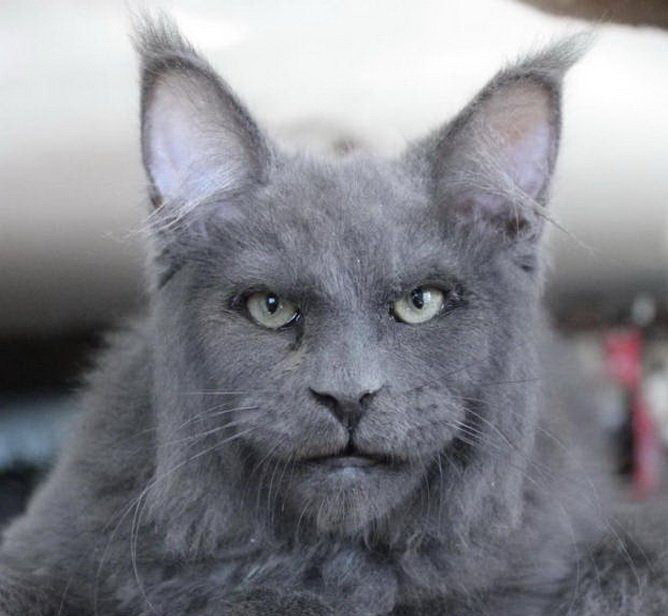 Show me your uncanny valley pics. - 9GAG