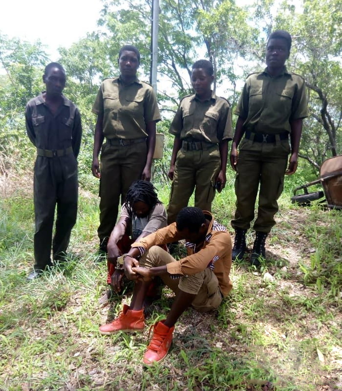 Poachers caught red-handed by an all-female unit of rangers in Zimbabwe ...