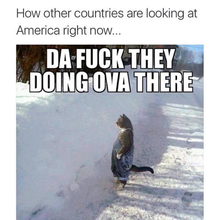 My only source of information is 9gag, so it's a bit confusing but a lot of fun - 9GAG