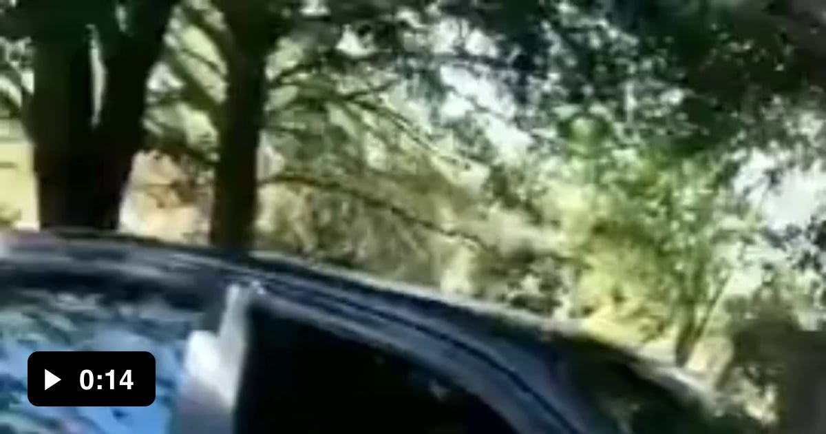 Perfect Sync..... - 9GAG