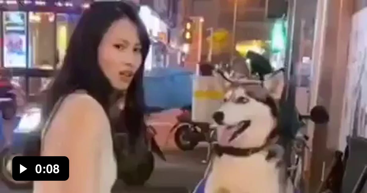 He doesn't bite - 9GAG