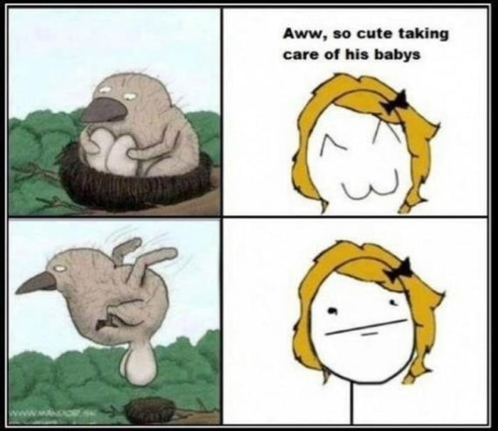 You're not wrong technically - 9GAG