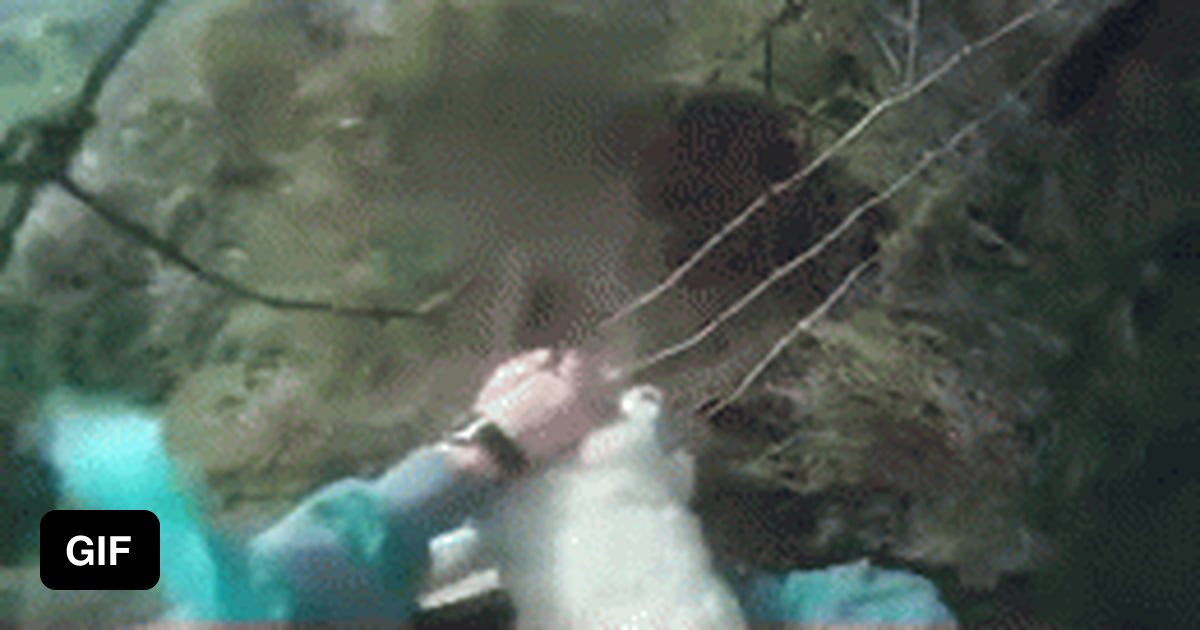 Yeah I saved the goat! F**K - 9GAG