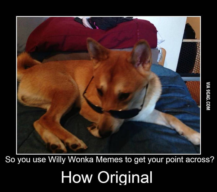 Condescending dog - 9GAG