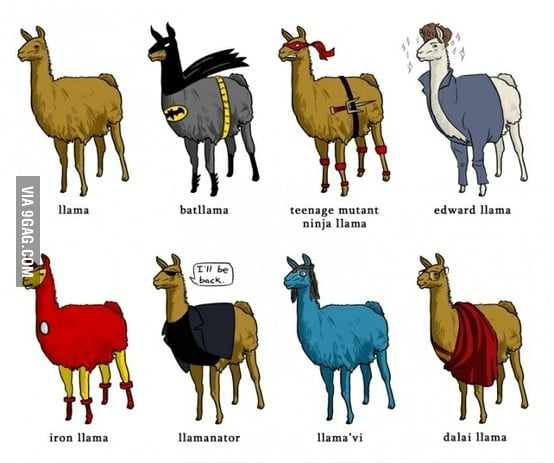 Llama llama duck! - 9GAG