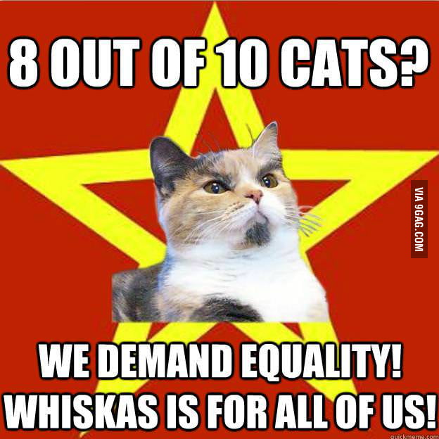 Marxist Cat - 9GAG