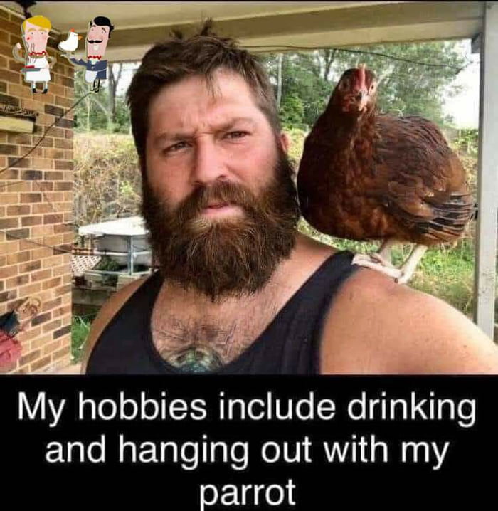 Hint: it is not a parrot - 9GAG