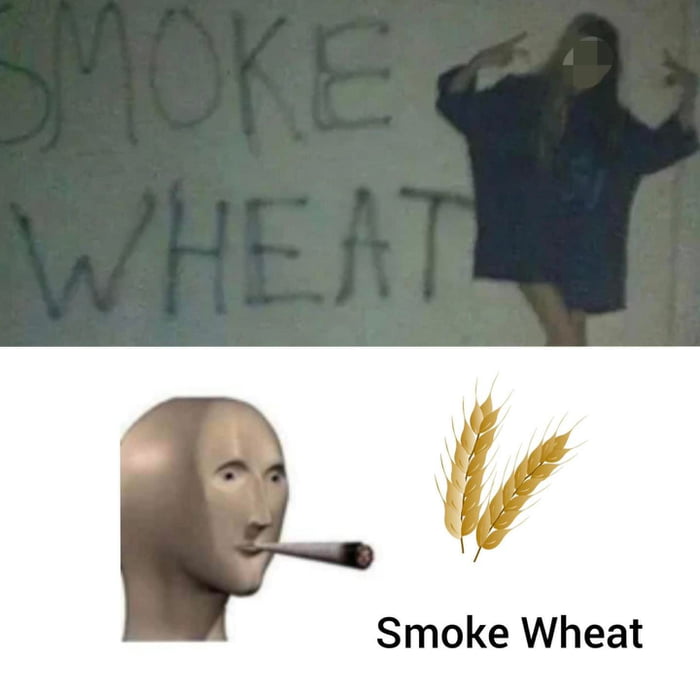 Smoke Wheat. - 9GAG