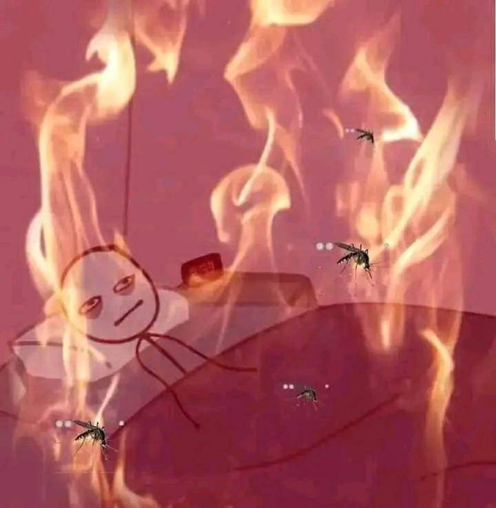 Summer be like - 9GAG