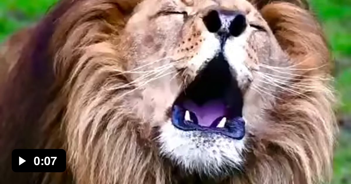 Pooping after two days without - 9GAG