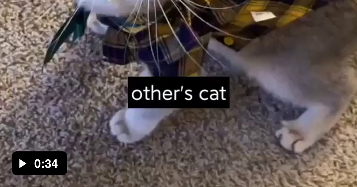 As an agree owner..i can cat - 9GAG