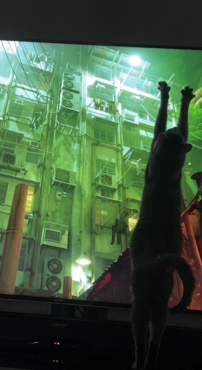 Stray is best enjoyed with your companions 😁 - 9GAG