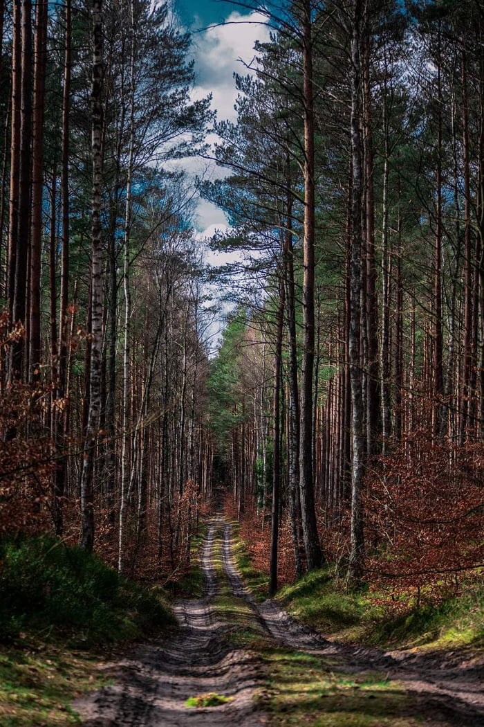 The road leading to the lake in the village of Podborsko - Poland - 9GAG