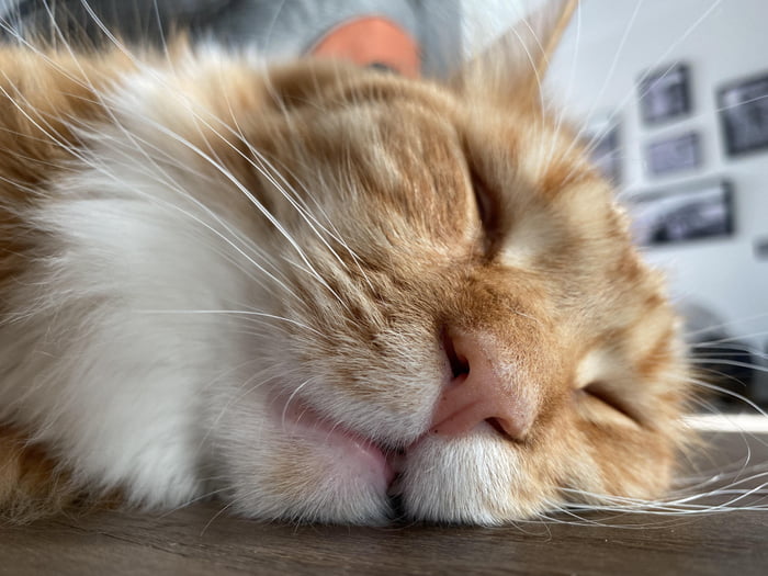 Droolmerlemerlem - 9GAG