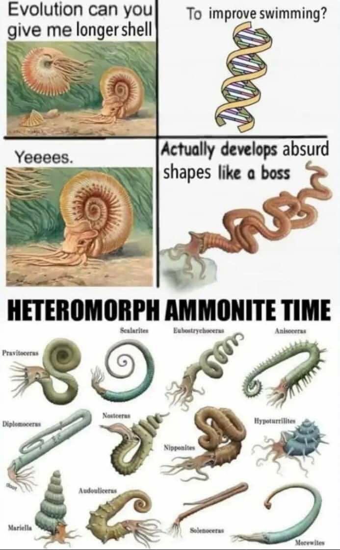 Cambrian kids will understand - 9GAG