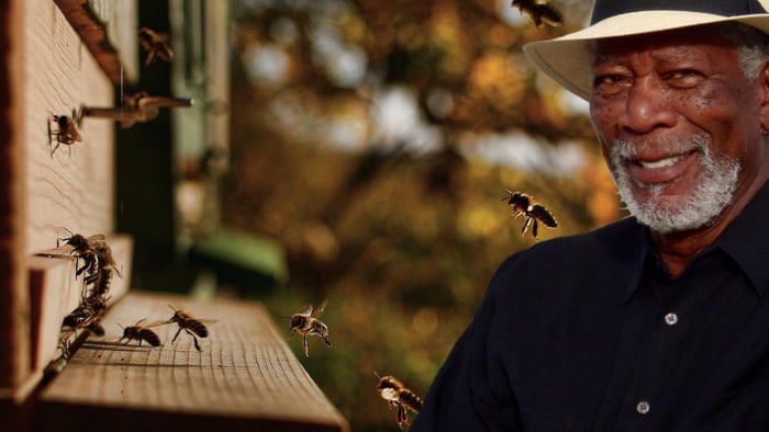 Morgan Freeman Converted His 124-Acre Ranch Into A Giant Honeybee ...