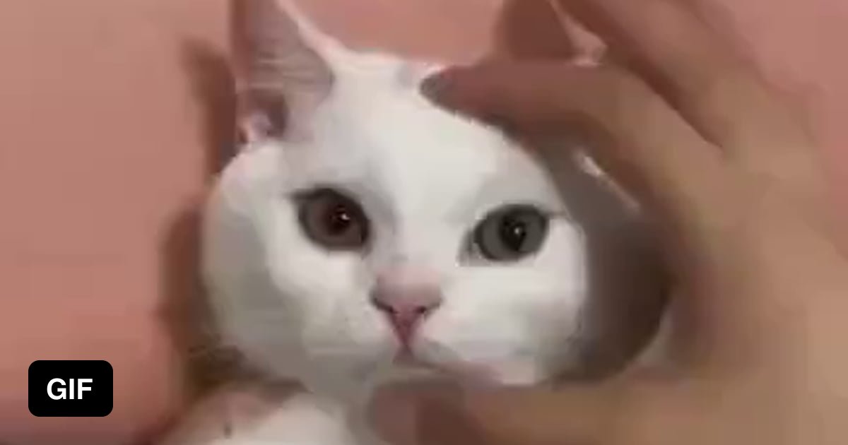 Getting Angry - 9GAG