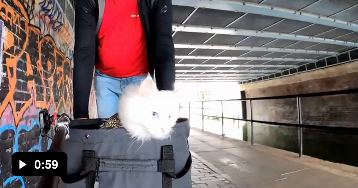 Yeah, you tell'em. - 9GAG