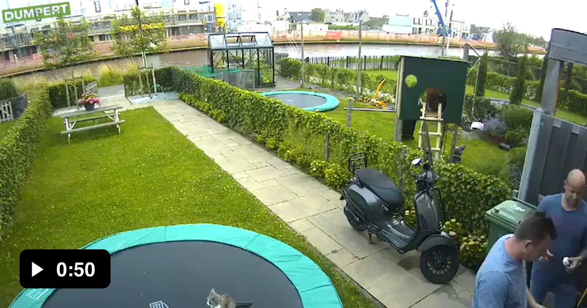 Idiot wins prize after trying to prank a cat - 9GAG