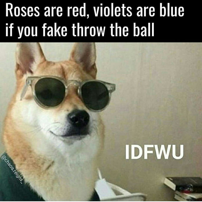 DOGE THUG LIFE.. - 9GAG