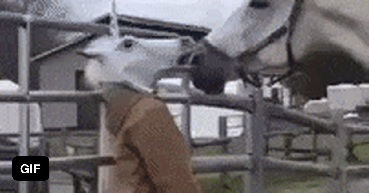When she's actually a human.. Nope nope nopenopenopenopenope... - 9GAG