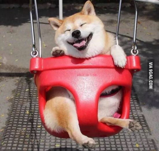 Happy Doge swings! - 9GAG
