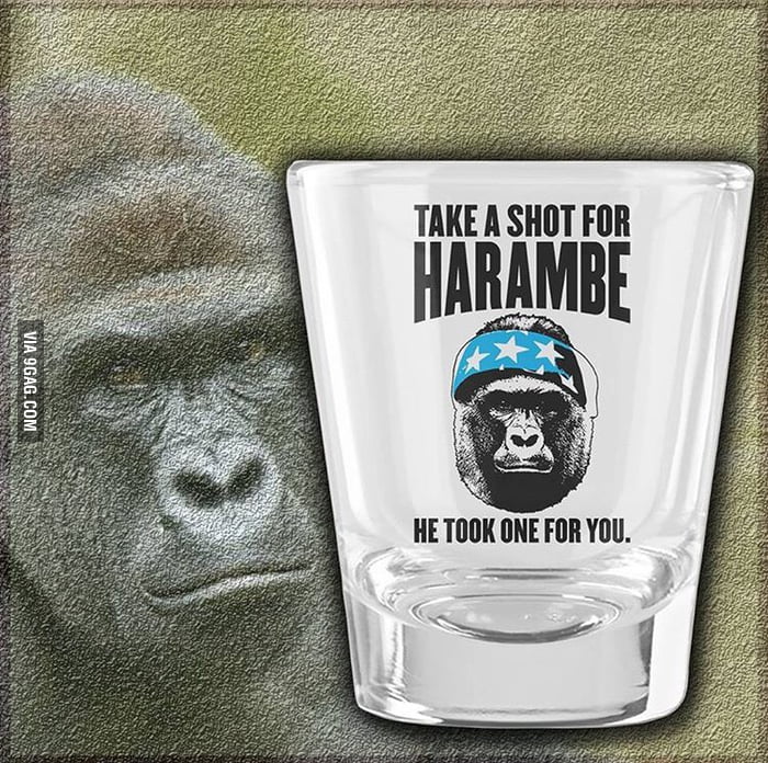 #RIB-harambe - 9GAG
