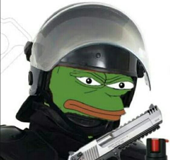 Rare Riot Pepe appeared. Upvote in 9.11s and you will be safe during ...